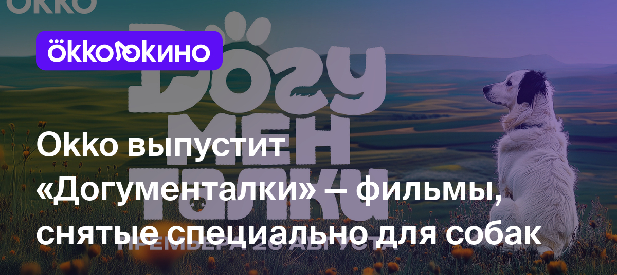 Okko выпустит «Догументалки» — фильмы, снятые специально для собак
